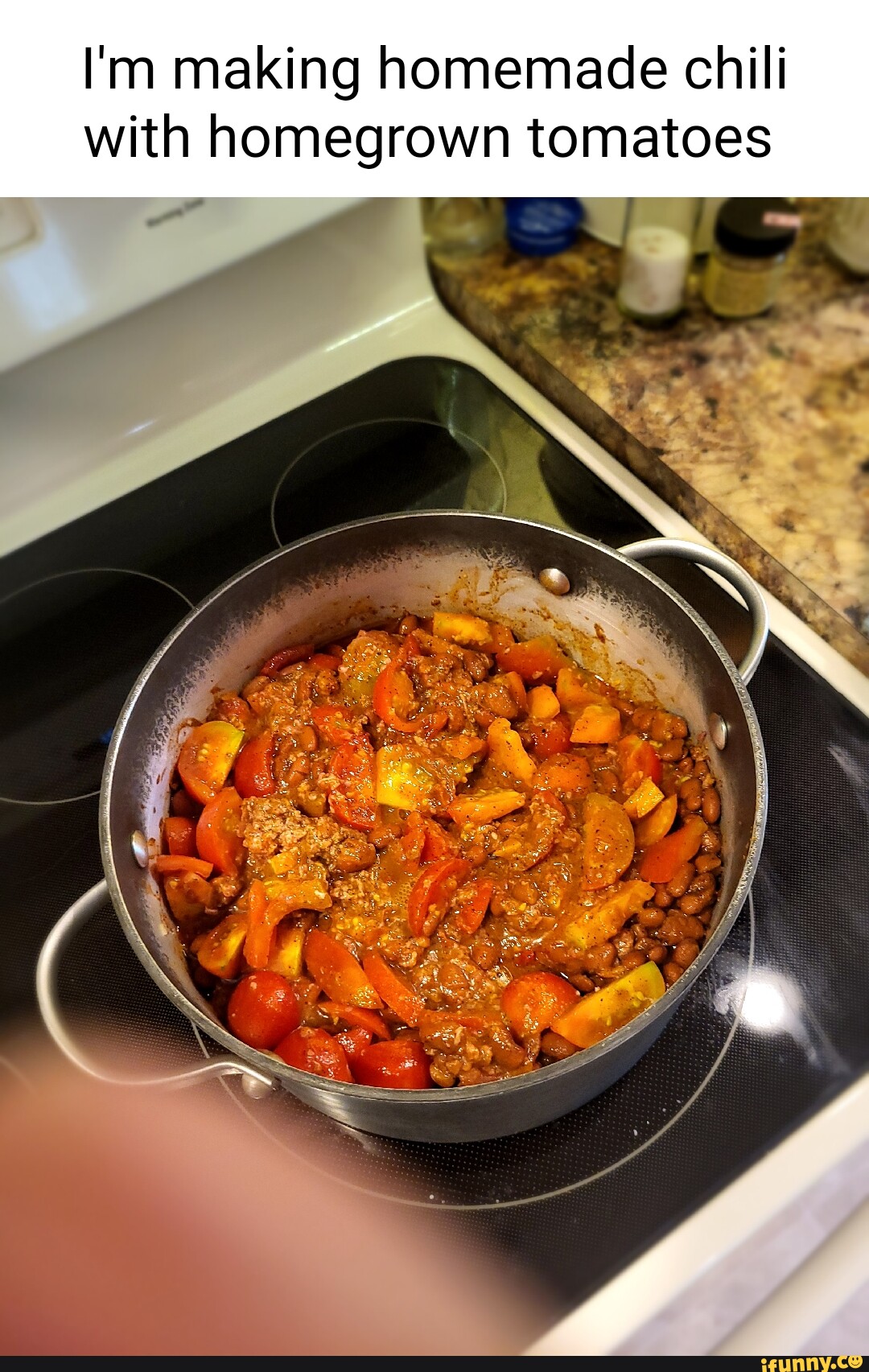 I'm making homemade chili with homegrown tomatoes - iFunny