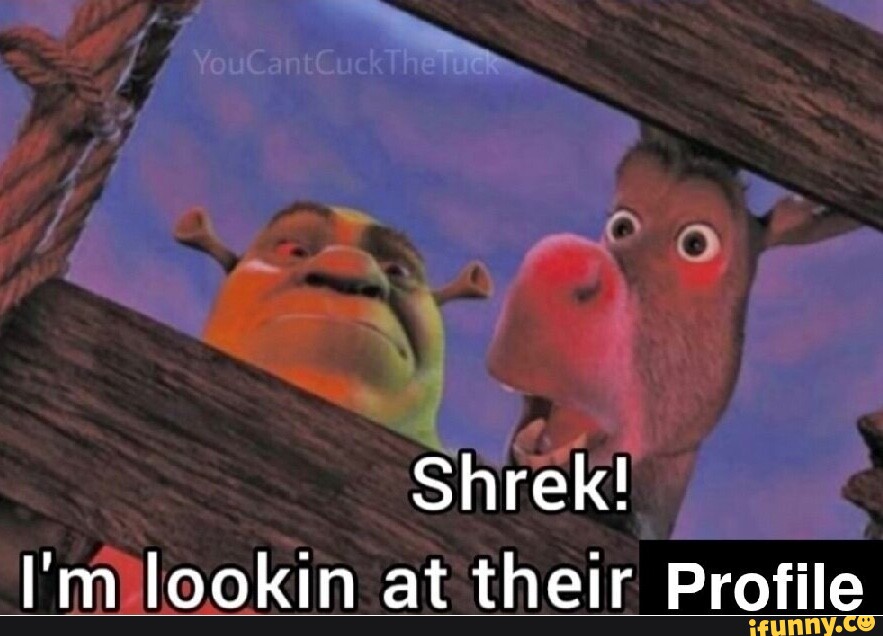 Shrek! I'm lookin at their Profile - iFunny