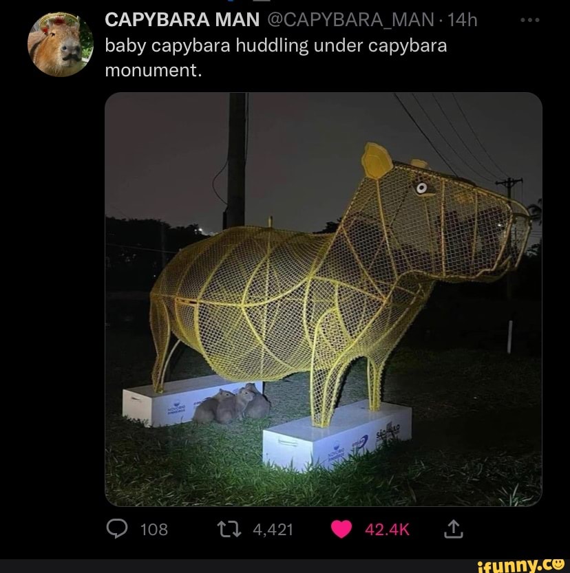 CAPYBARA MAN @CAPYBARA MAN baby capybara huddling under capybara ...