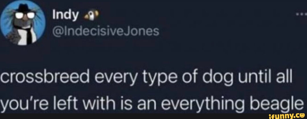 Crossbreed memes. Best Collection of funny Crossbreed pictures on iFunny