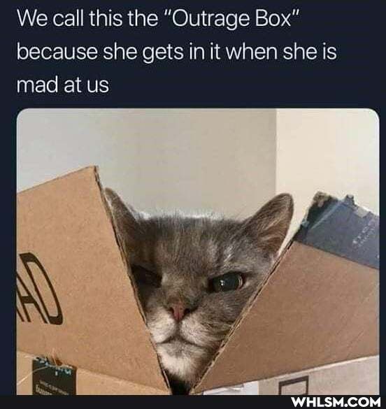We call this the "Outrage Box" because she gets in it when she is mad ...