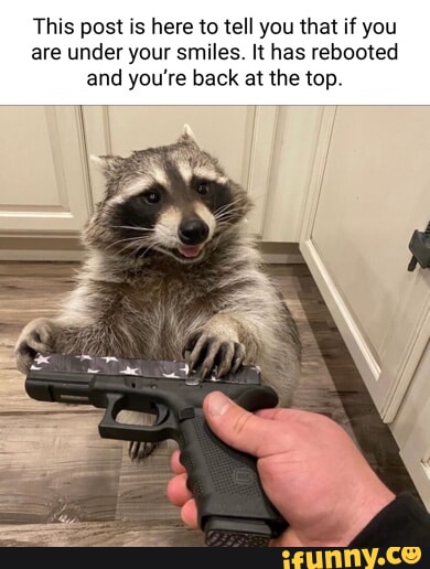 Rebooted memes. Best Collection of funny Rebooted pictures on iFunny