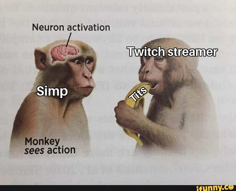 Neuron activation Twitch streamer Simp Monkey sees action - iFunny