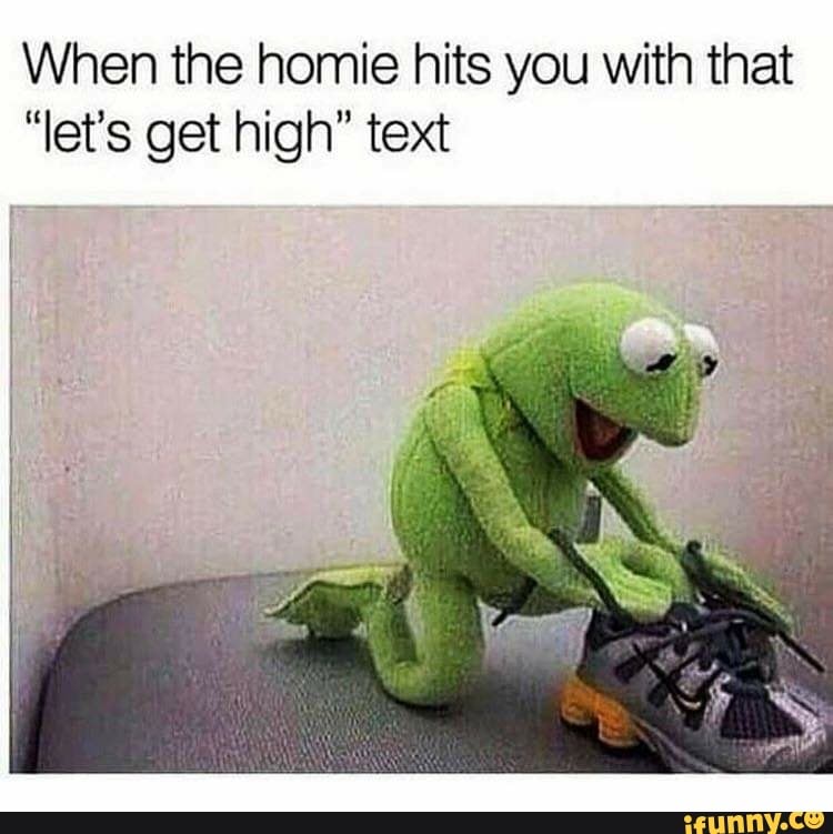 When the homie hits you with that "let’s get high" text - iFunny