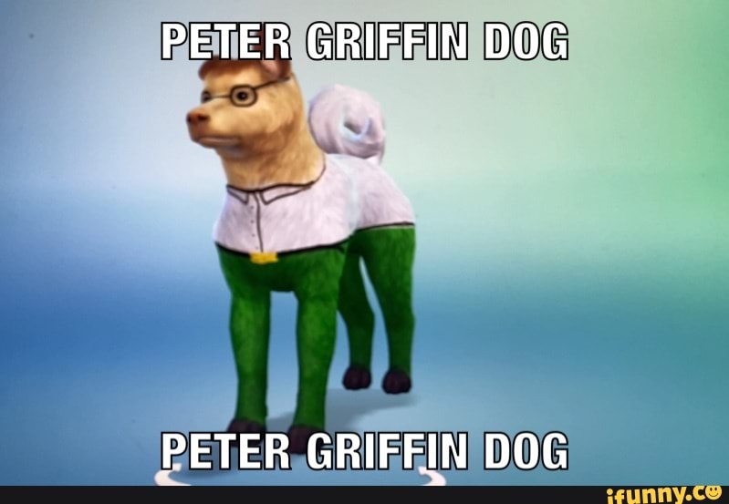 PETER GRIFFIN DOG PETER GRIFFIN DOG - iFunny
