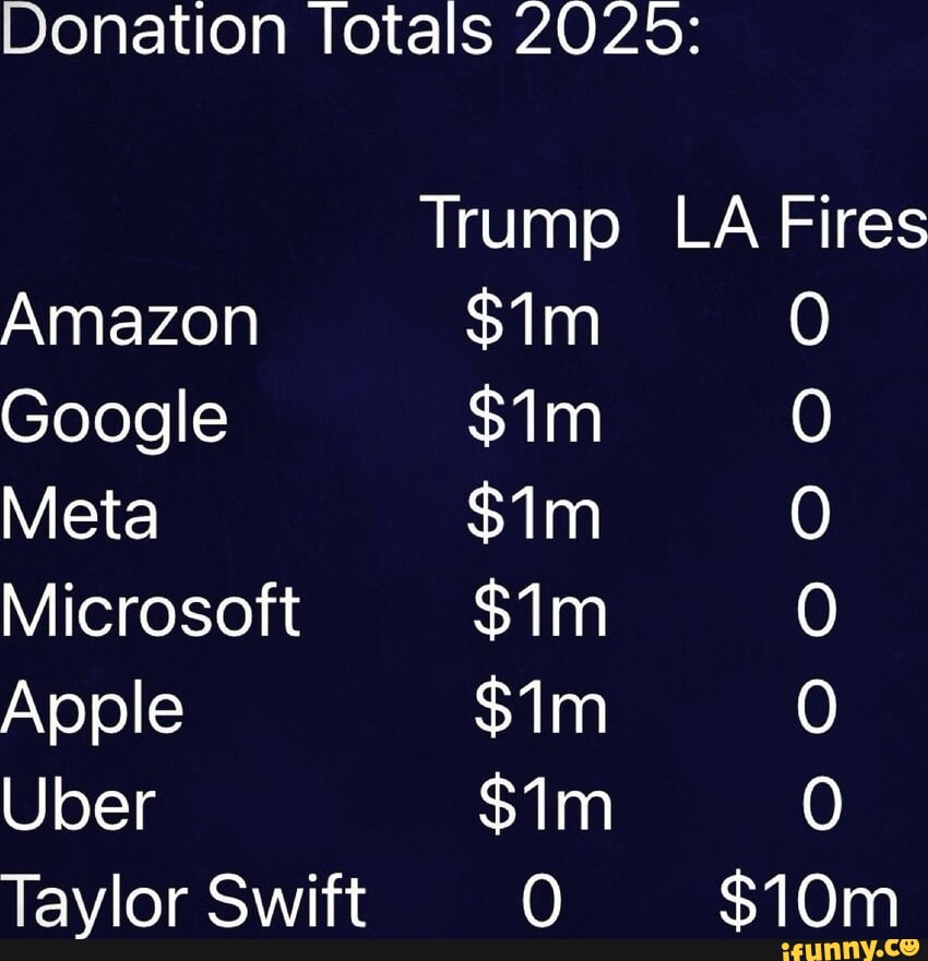 Donation Totals 2025: Trump LA Fires 333338 Amazon Google Meta ...