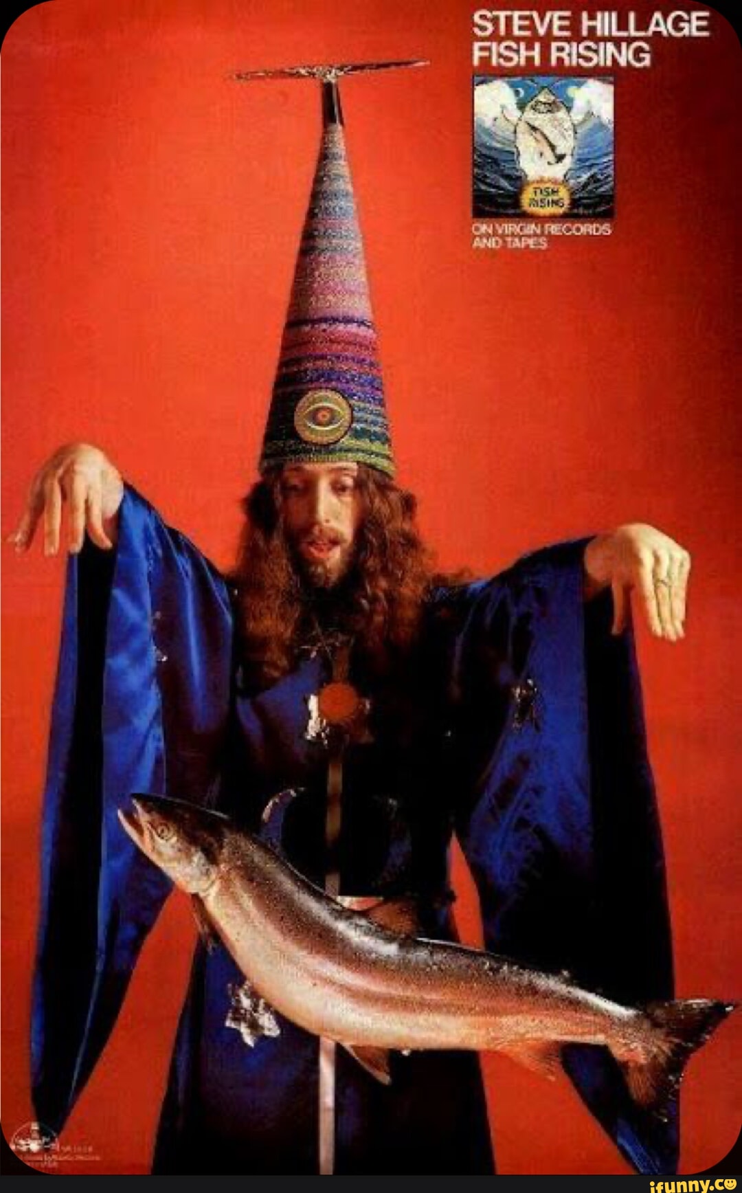 STEVE HILLAGE FISH RISING - iFunny