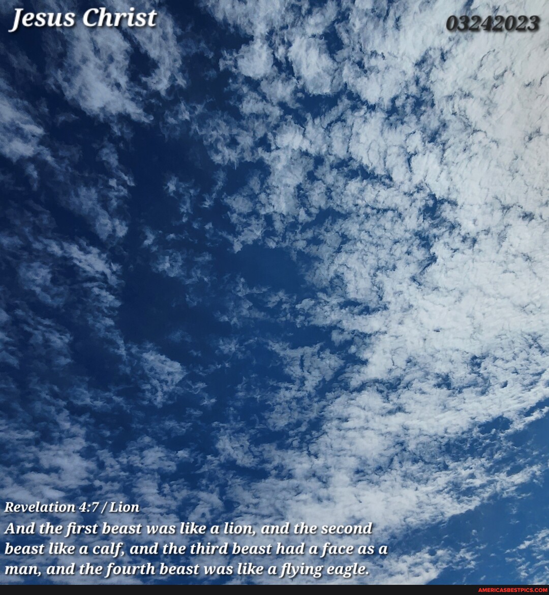 Jesus Christ Revelation Lion And the first beast was like a lion, and ...
