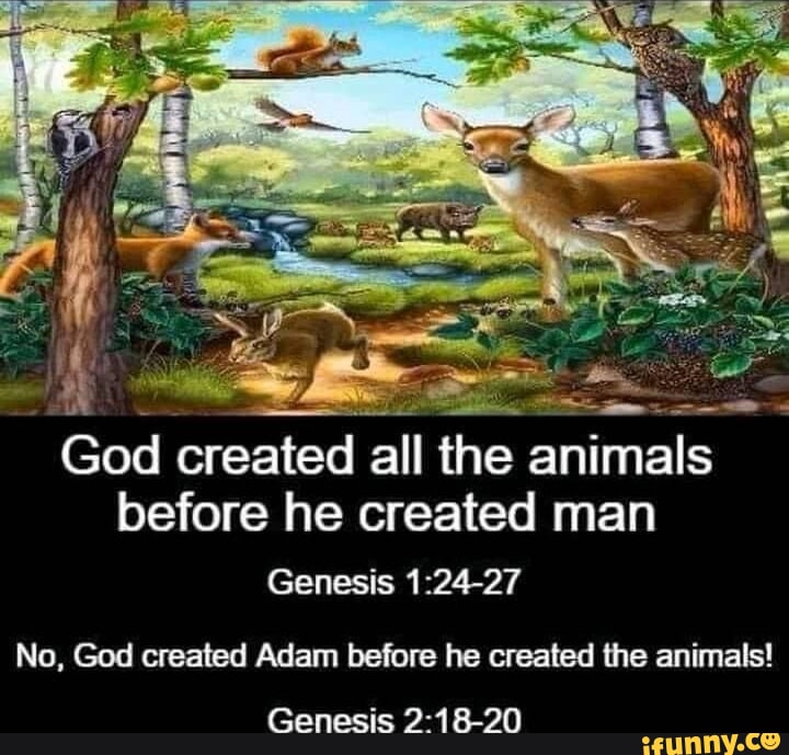 God created all the animals before he created man Genesis No, God ...