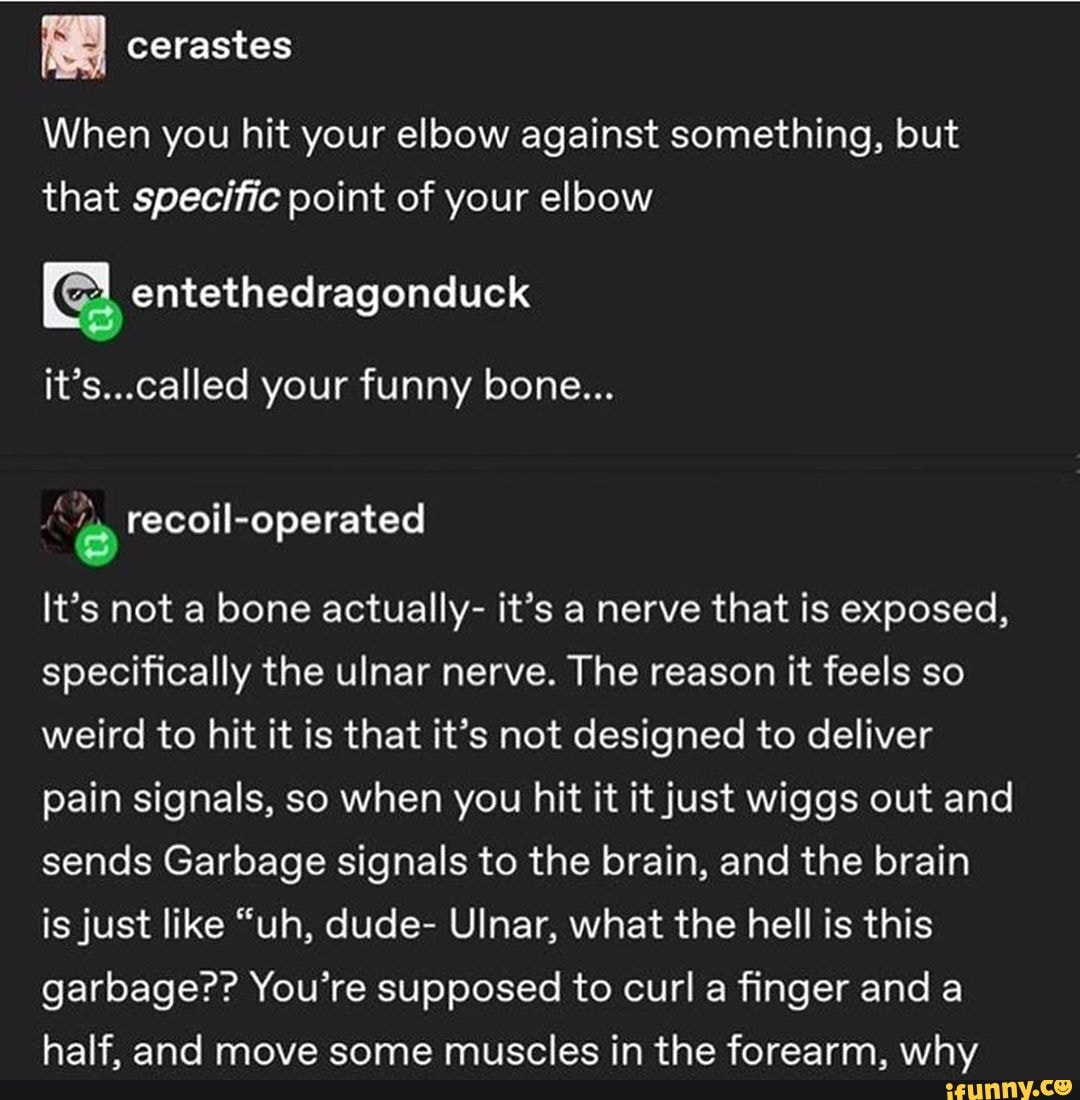 When you hit your elbow against something, but that specific point of ...