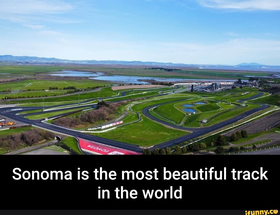 Sonoma Memes This Valentine's Day, Treat Your Special Someone (or Your