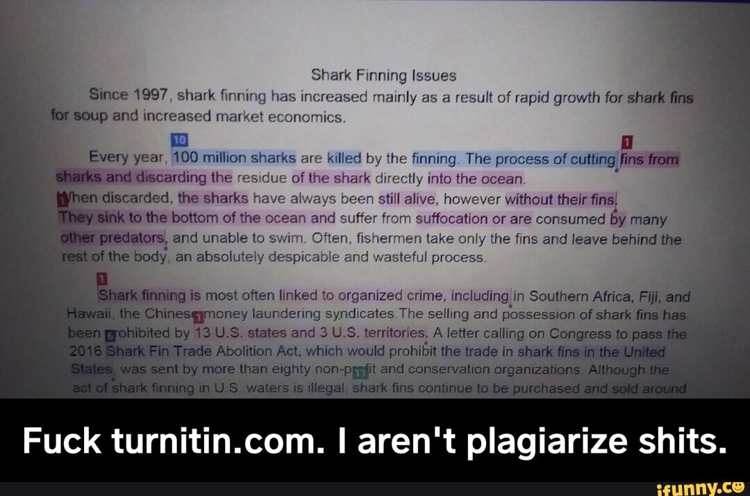 Turnitin memes. Best Collection of funny Turnitin pictures on iFunny