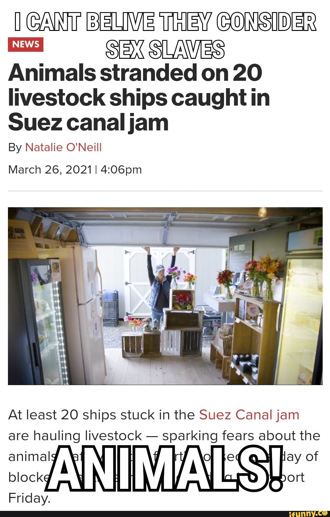 Gantt memes. Best Collection of funny Gantt pictures on iFunny