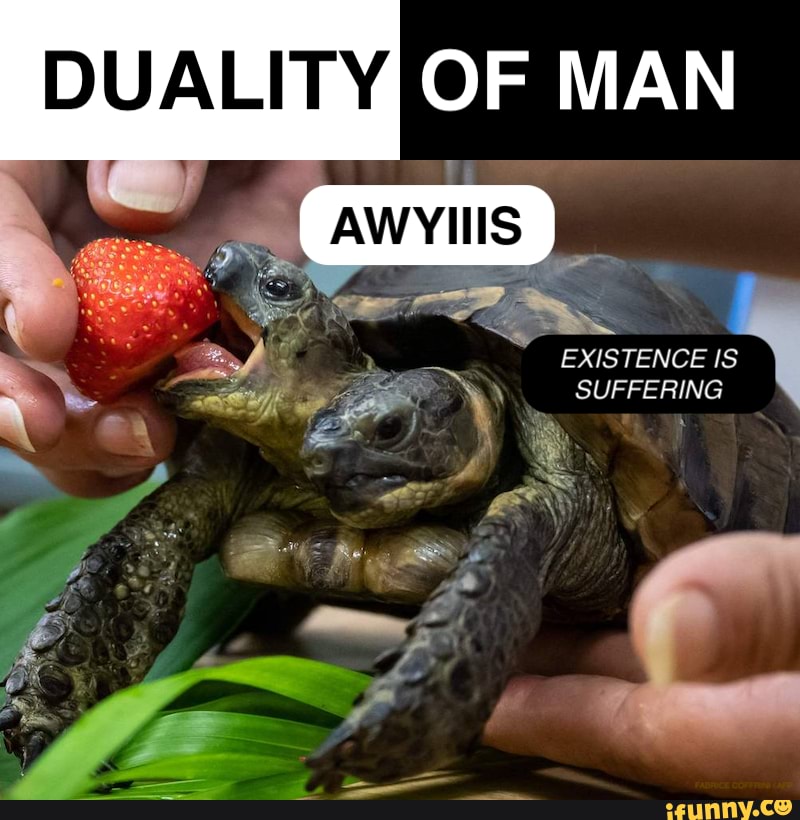 DUALITY OF MAN AWYIIS EXISTENCE IS SUFFERING - iFunny Brazil