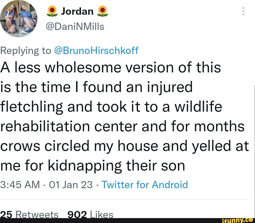 Fletchling memes. Best Collection of funny Fletchling pictures on iFunny