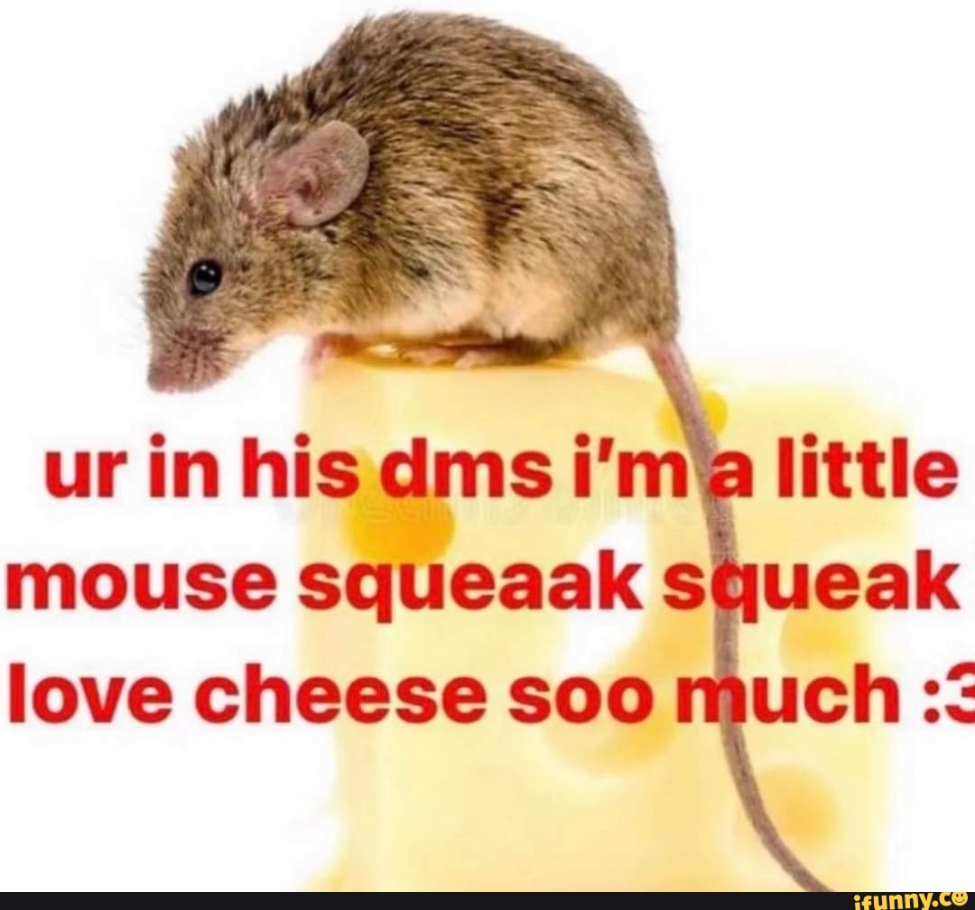 Squeaak memes. Best Collection of funny Squeaak pictures on iFunny
