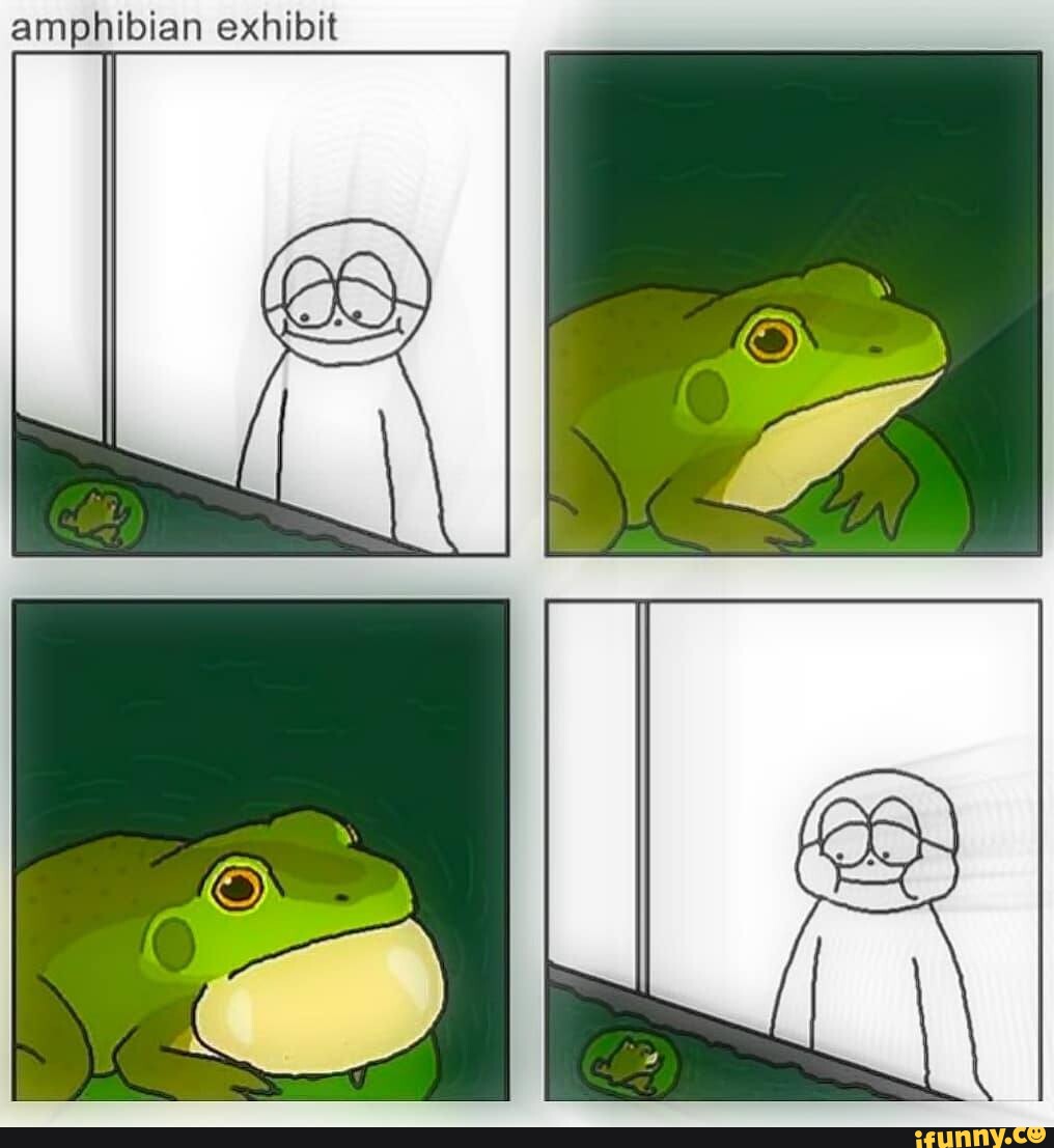 Amphibian exhibit - iFunny