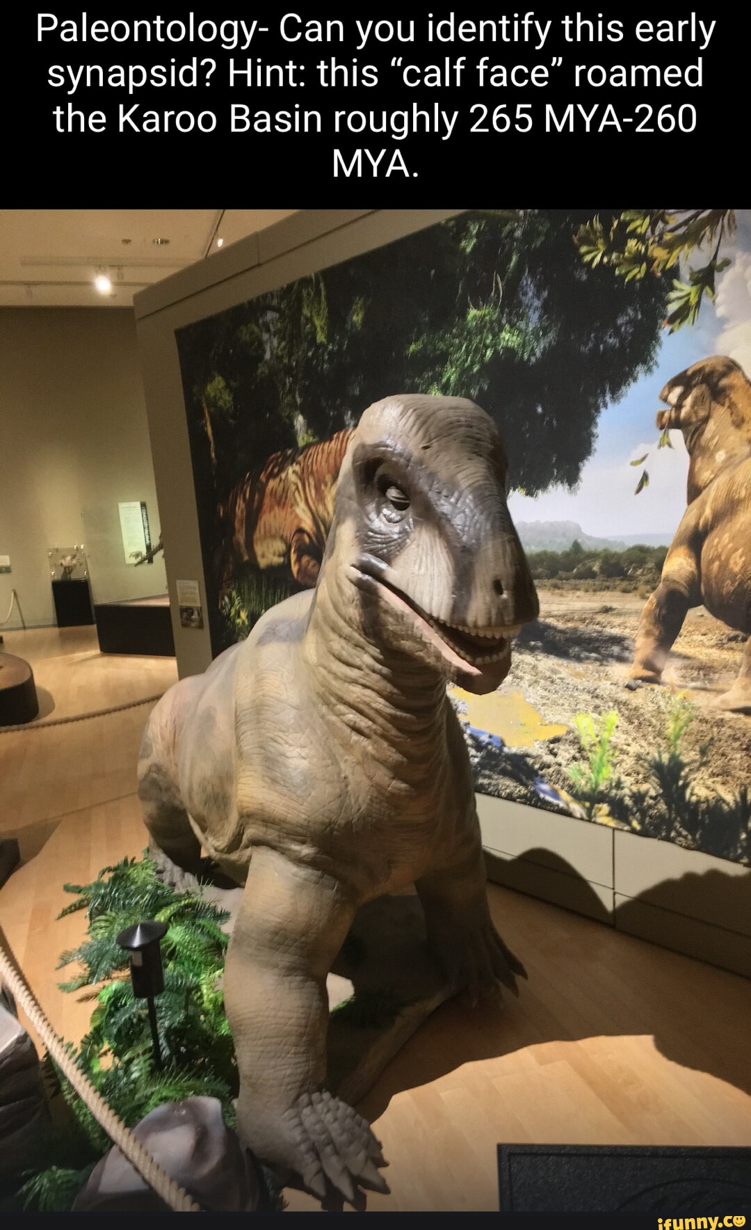 Paleontology- Can you identify this early synapsid? Hint: this "calf ...