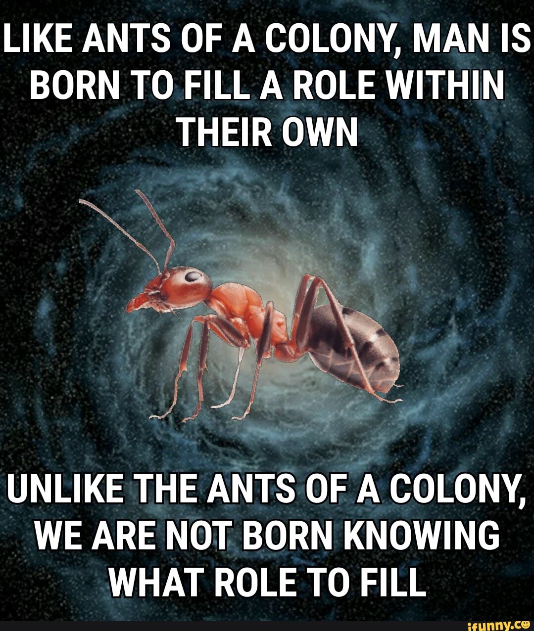 LIKE ANTS OF A COLONY, MAN IS BORN TO FILL A ROLE WITHIN THEIR OWN ...