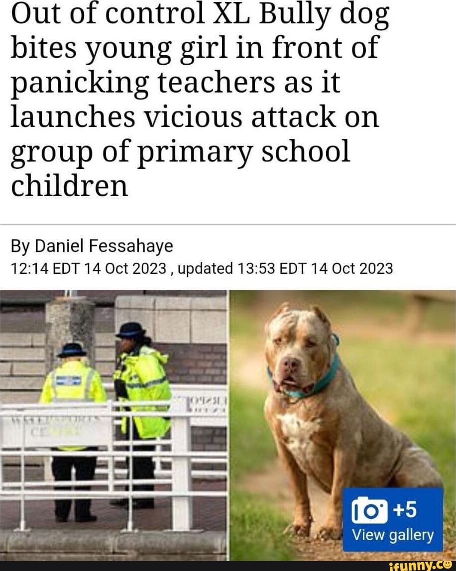 Out of control XL Bully dog bites young girl in front of panicking ...