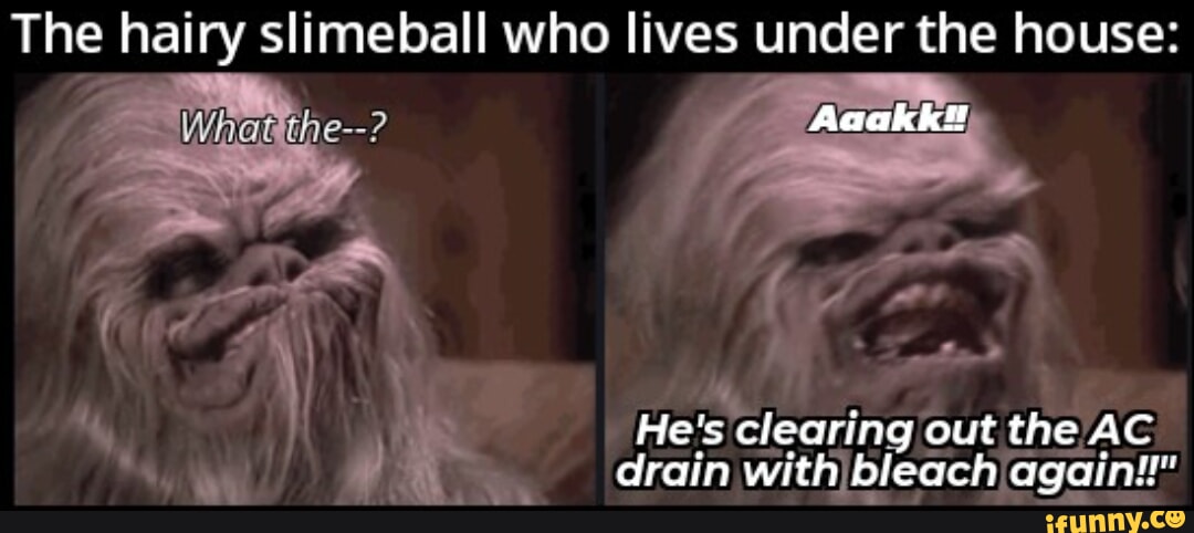 Slimeball memes. Best Collection of funny Slimeball pictures on iFunny
