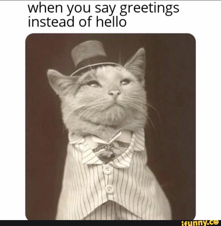 Greetings memes. Best Collection of funny Greetings pictures on iFunny