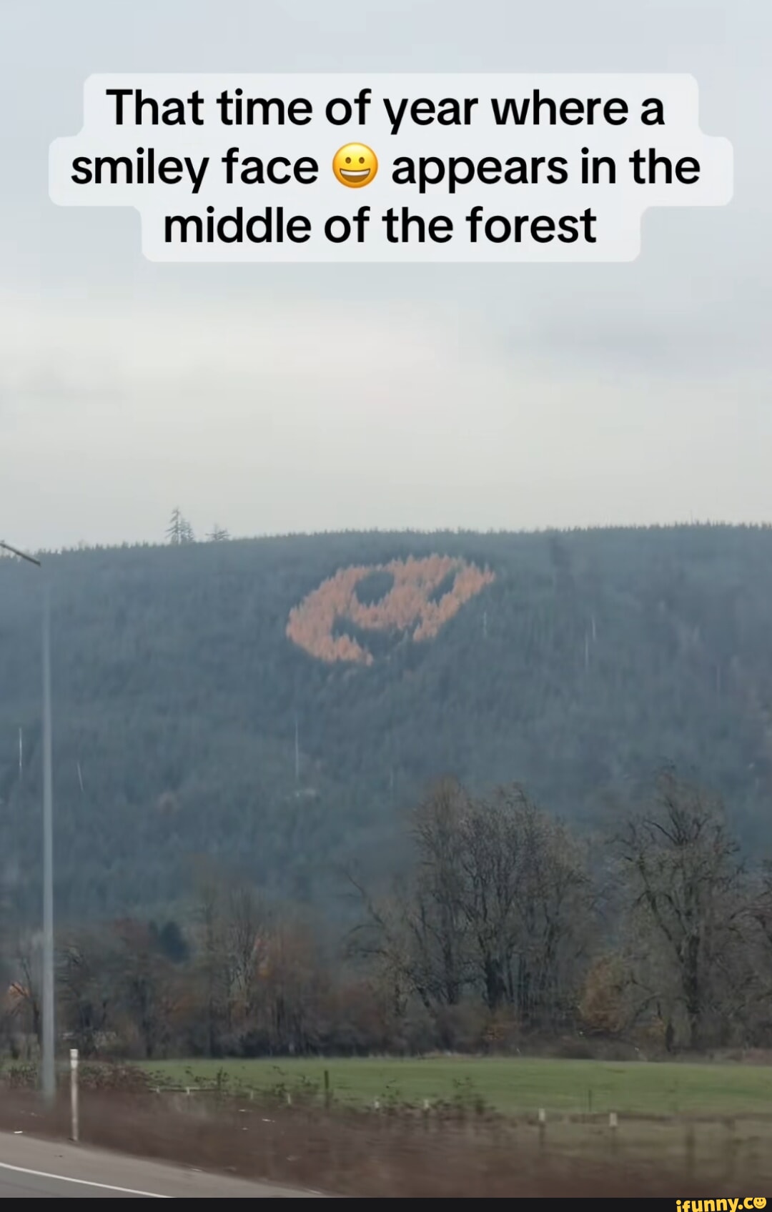 That time of year where a smiley face appears in the middle of the ...