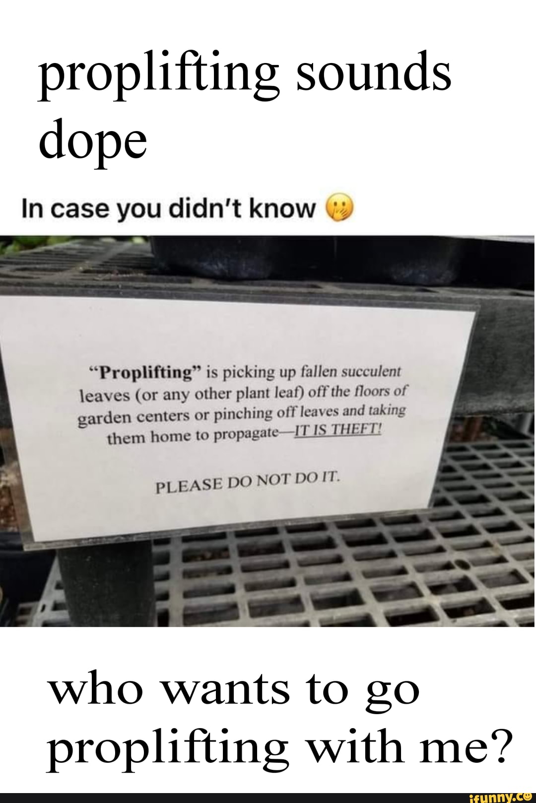 Proplifting memes. Best Collection of funny Proplifting pictures on iFunny