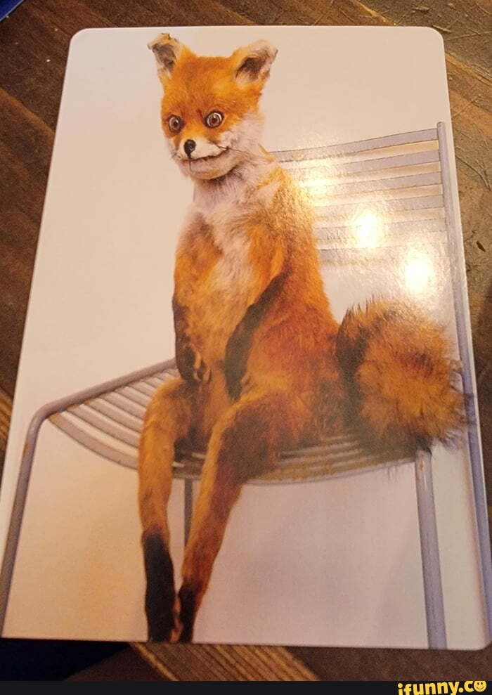 Stoned_fox memes. Best Collection of funny Stoned_fox pictures on iFunny