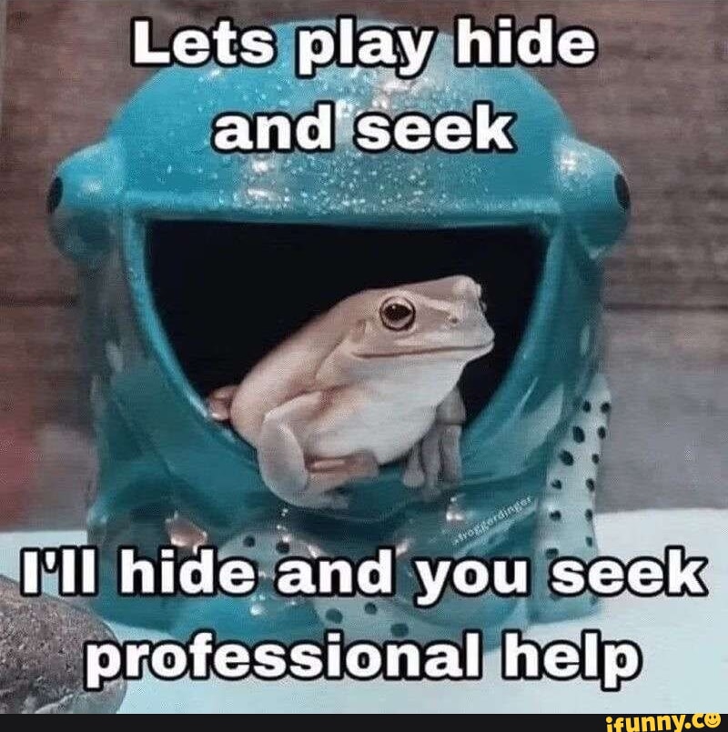 Lets play hide and seek ye il hide and you seek professional help - iFunny