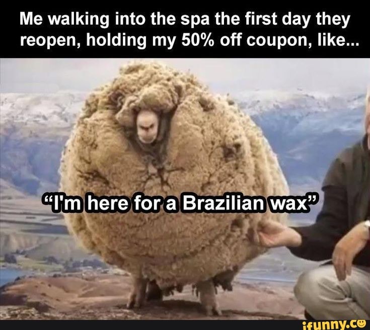 Brazilian memes. Best Collection of funny Brazilian pictures on iFunny
