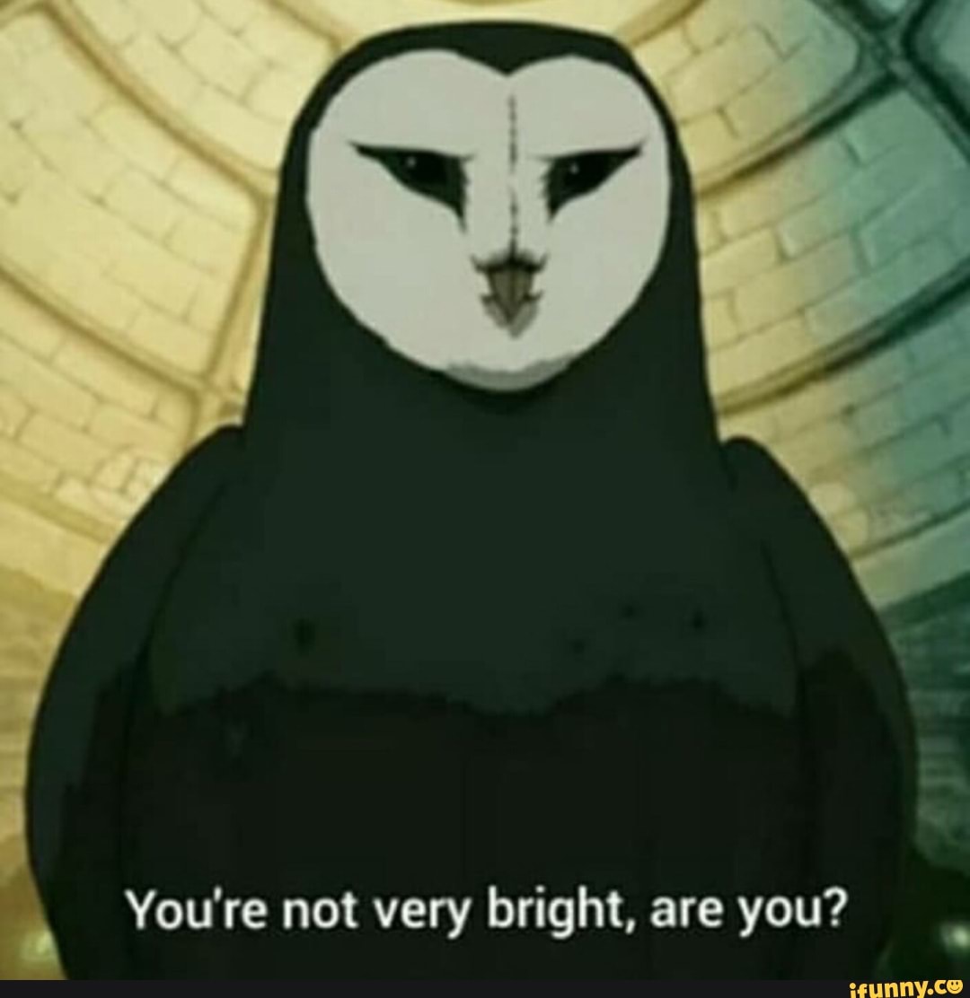 N You're not very bright, are you? - iFunny