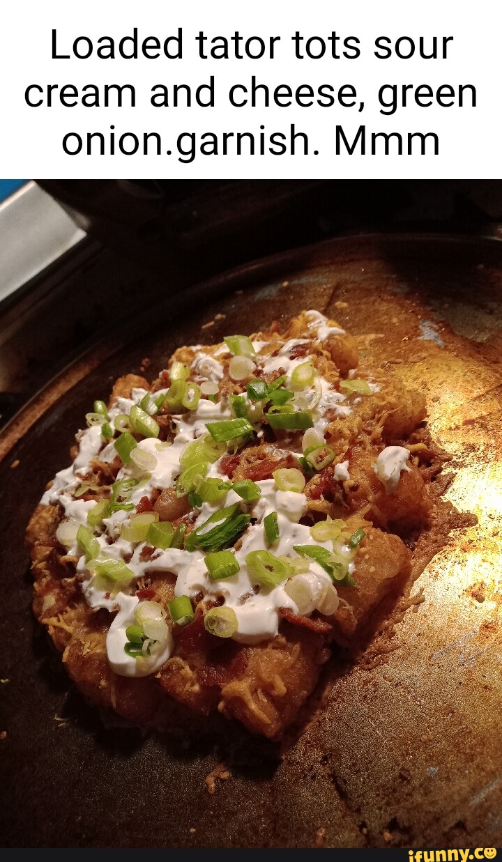 Loaded tator tots sour cream and cheese, green garnish. OnION. - iFunny