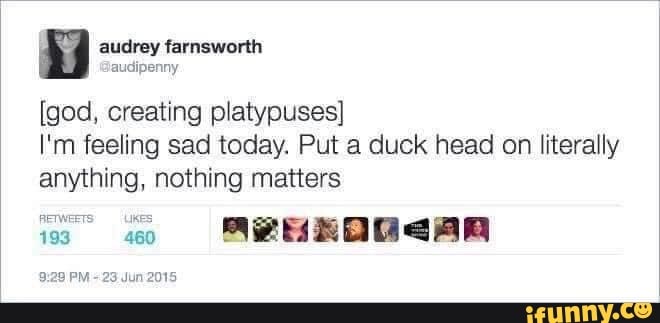 Audrey farnsworth [god, creating platypuses] I'm feeling sad today. Put ...
