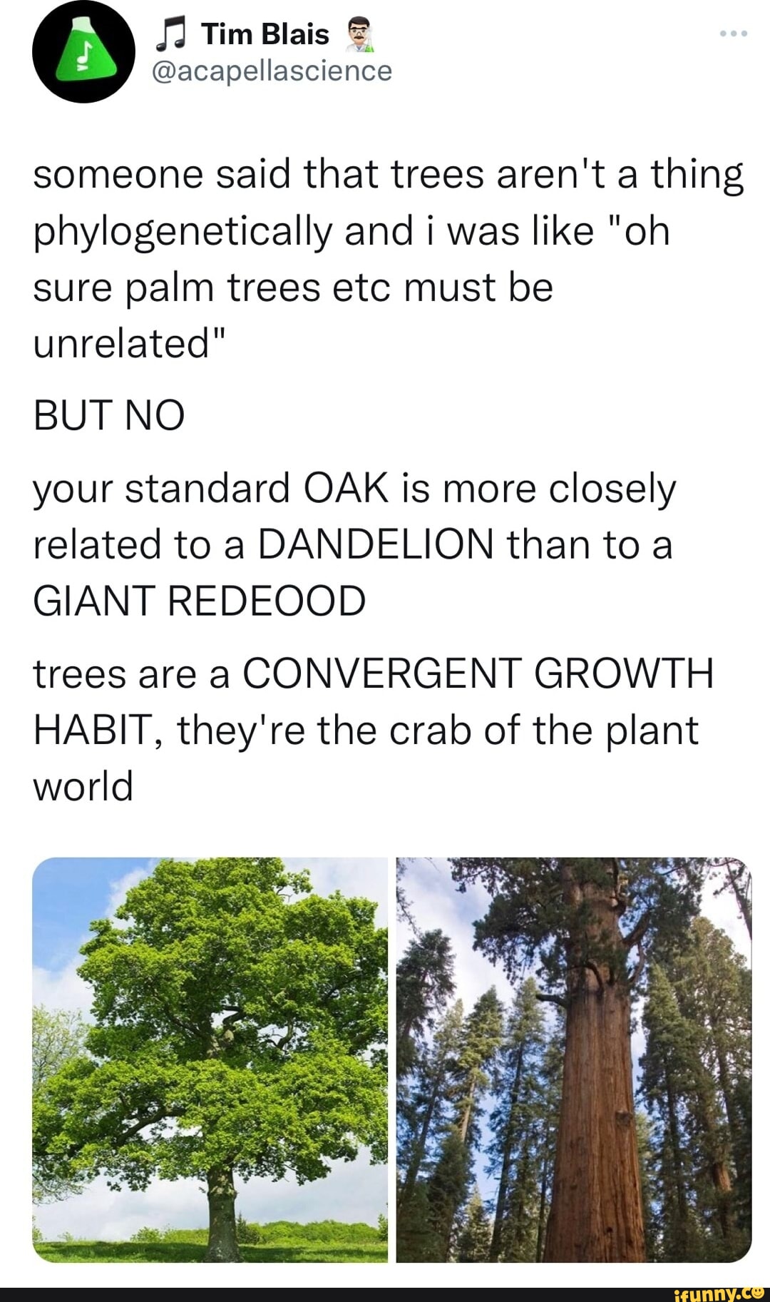 Oak memes. Best Collection of funny Oak pictures on iFunny