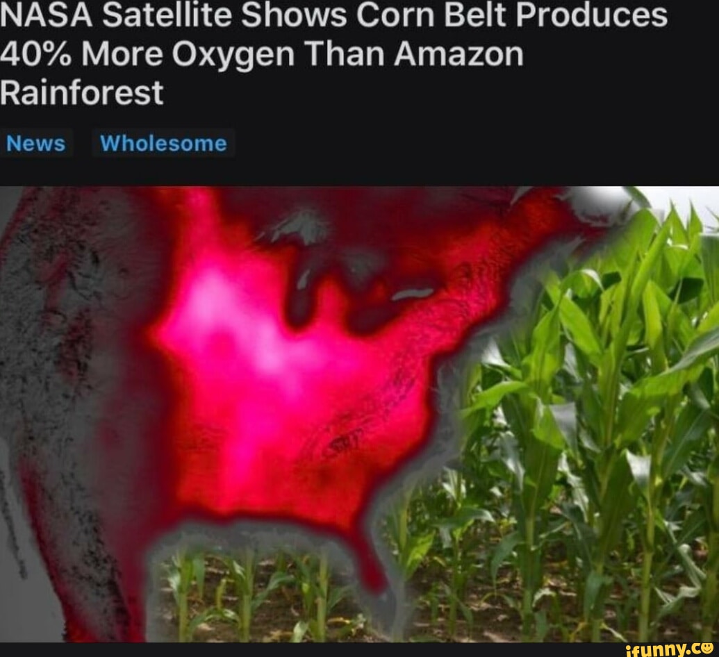 Adam Sandler Is Homer Simpson in The Simpsons Live-Action Movie Concept ...