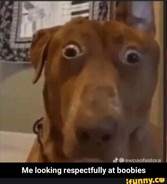 @awvaofastora Me looking respectfully at boobies - Me looking ...