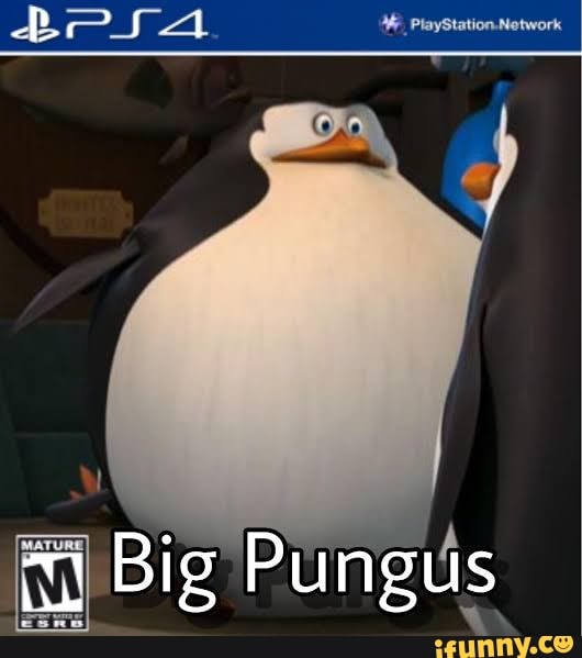 Pungus memes. Best Collection of funny Pungus pictures on iFunny