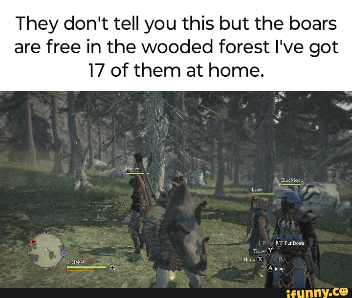 Boars memes. Best Collection of funny Boars pictures on iFunny