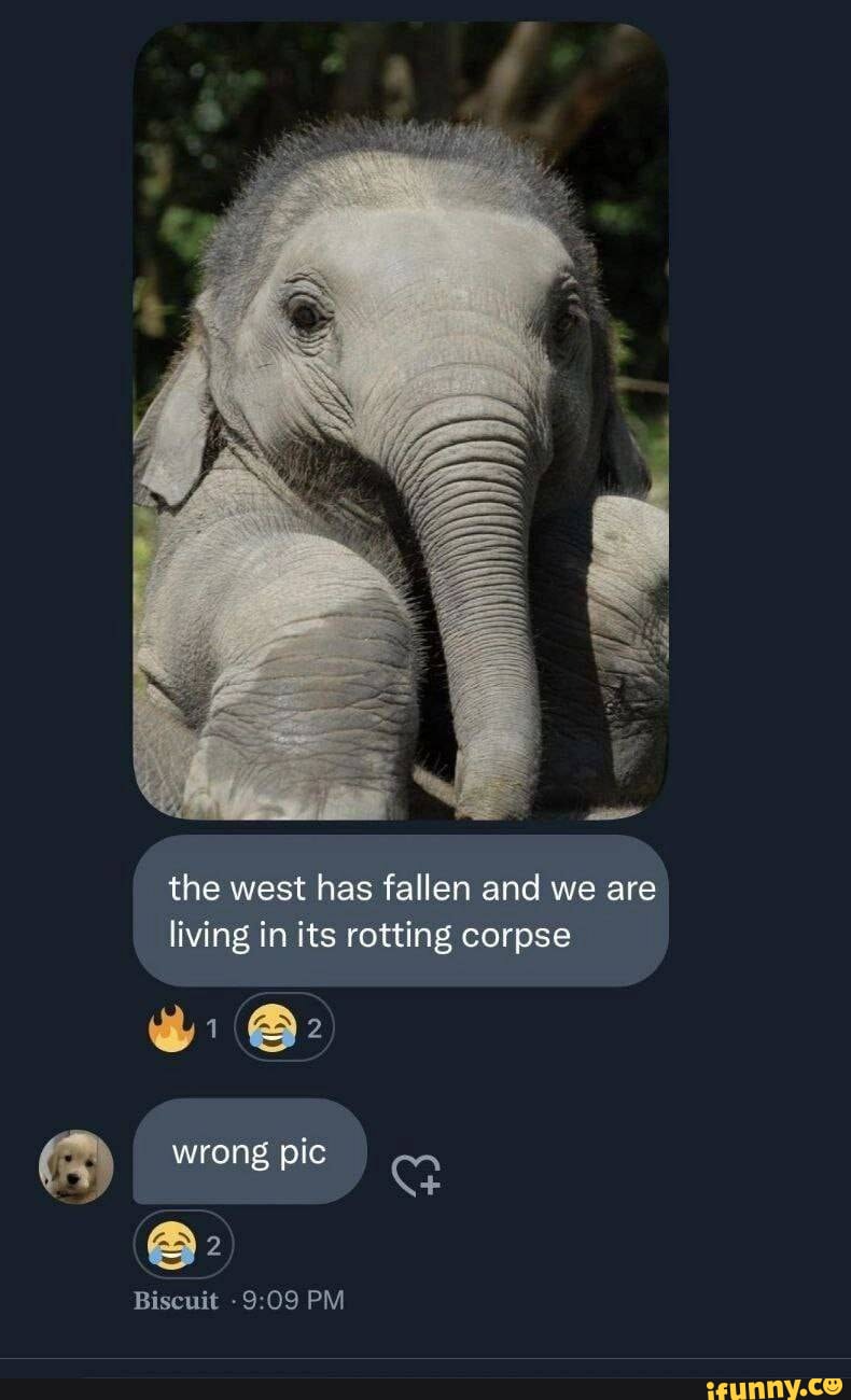 The west has fallen and we are living in its rotting corpse we: @ wrong ...