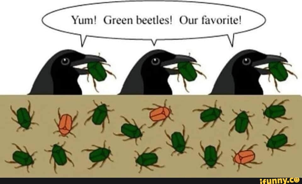 Beetles memes. Best Collection of funny Beetles pictures on iFunny