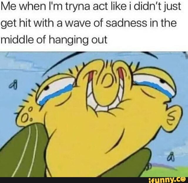 Me when I'm tryna act like i didn't just get hit with a wave of sadness ...