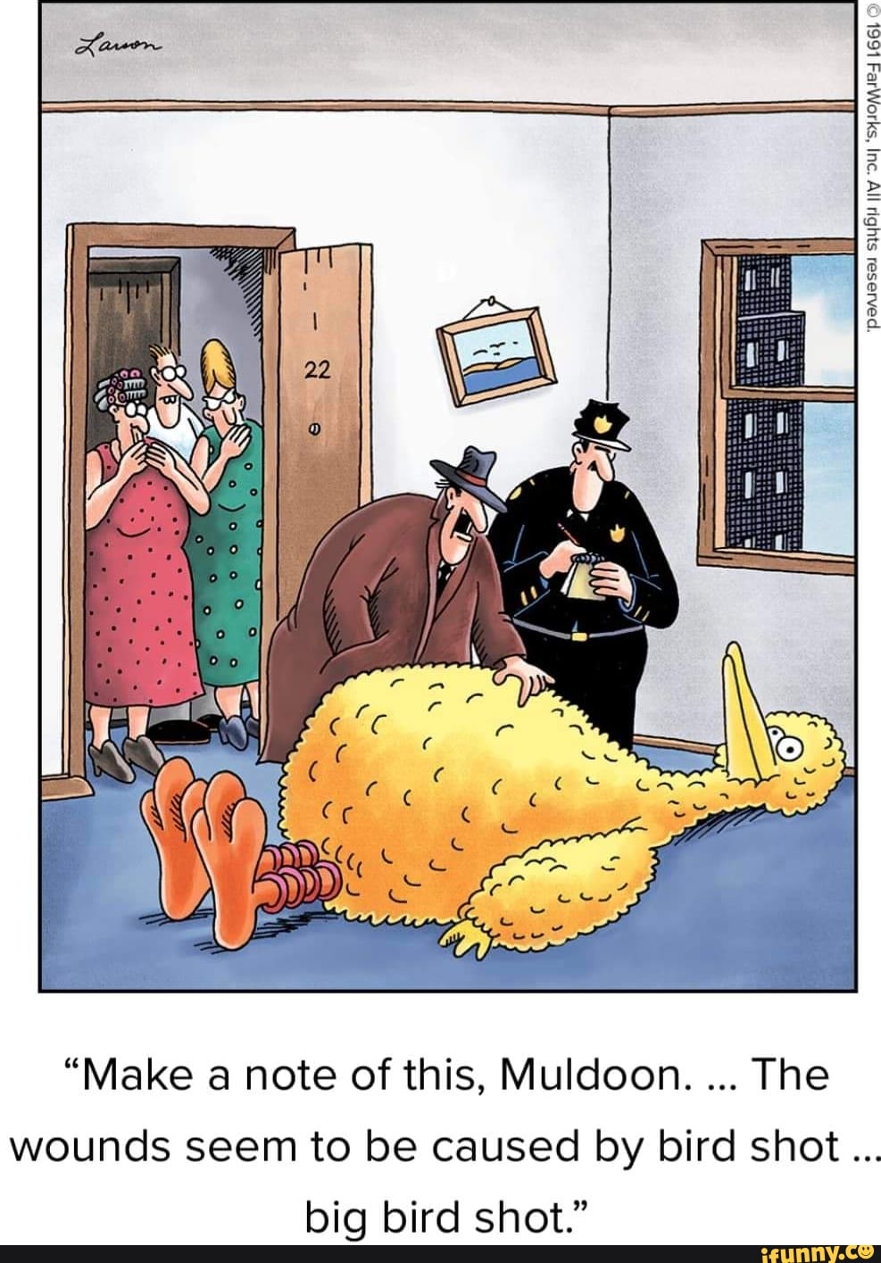"Make a note of this, Muldoon. The wounds seem to be caused by bird ...
