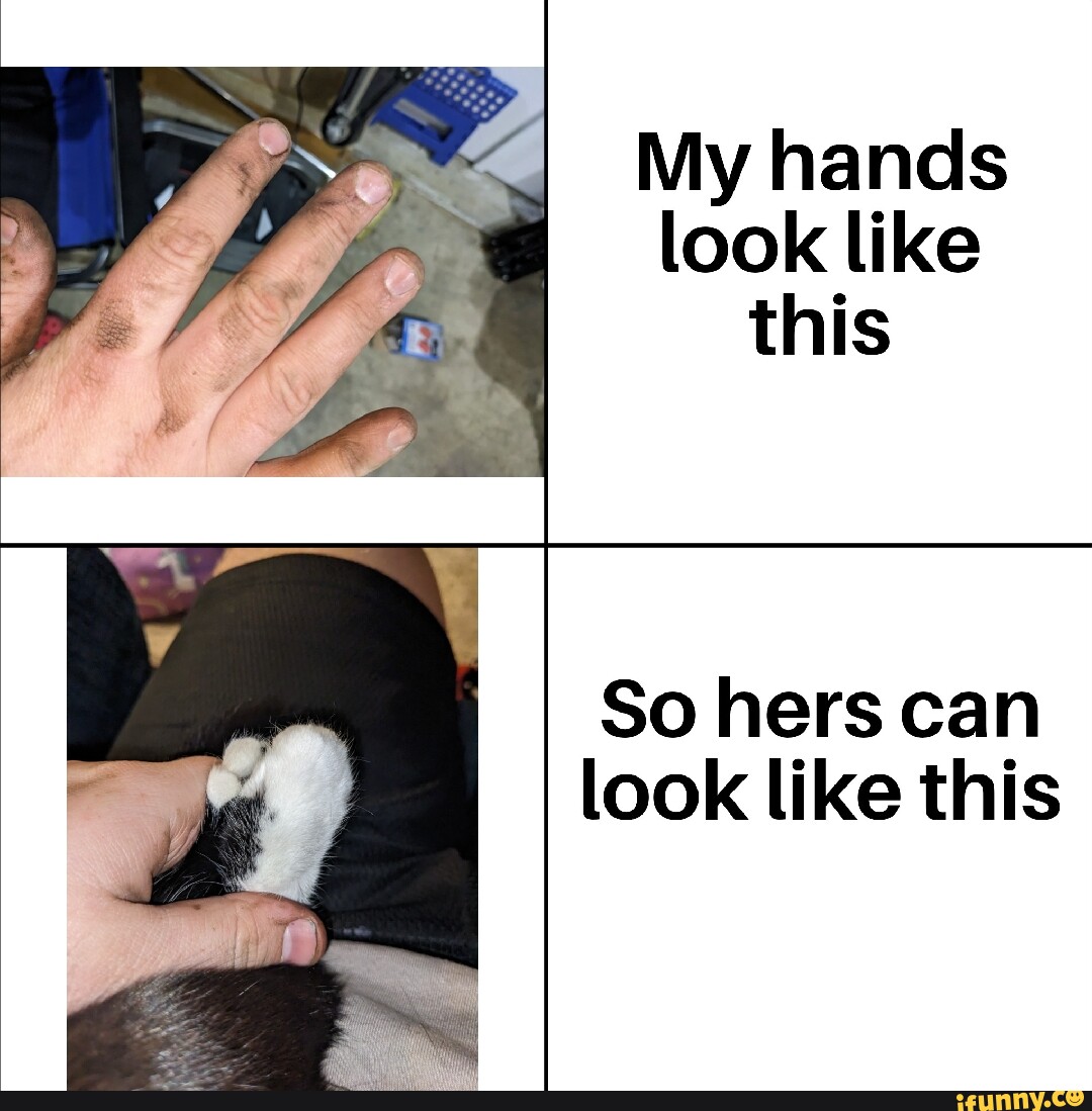 My hands look like this So hers can look like this - iFunny