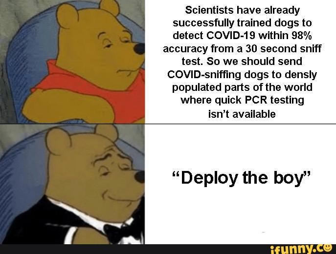 Scientists have already successfully trained dogs to detect COVID-19 ...