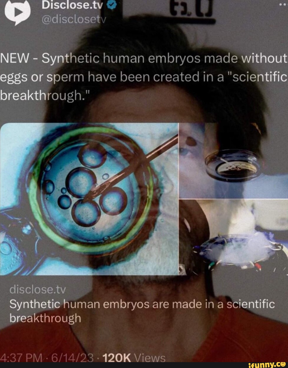 NEW - Synthetic human embryos made without eggs or sperm have been ...