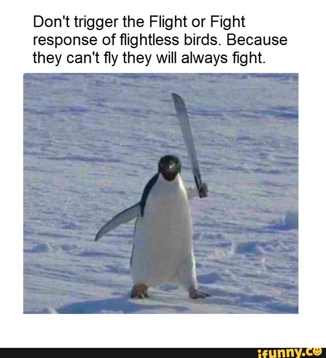 Don't trigger the Flight or Fight response of flightless birds. Because ...