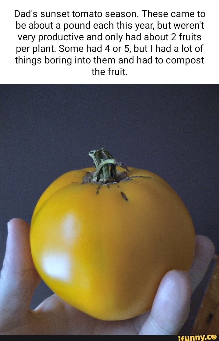 Compost memes. Best Collection of funny Compost pictures on iFunny