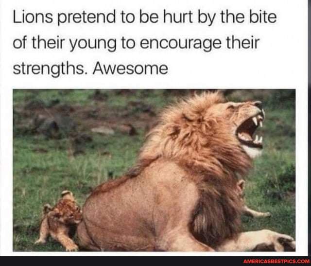 Long before his rise to fame, artist Gus Nickerson experimented with ...