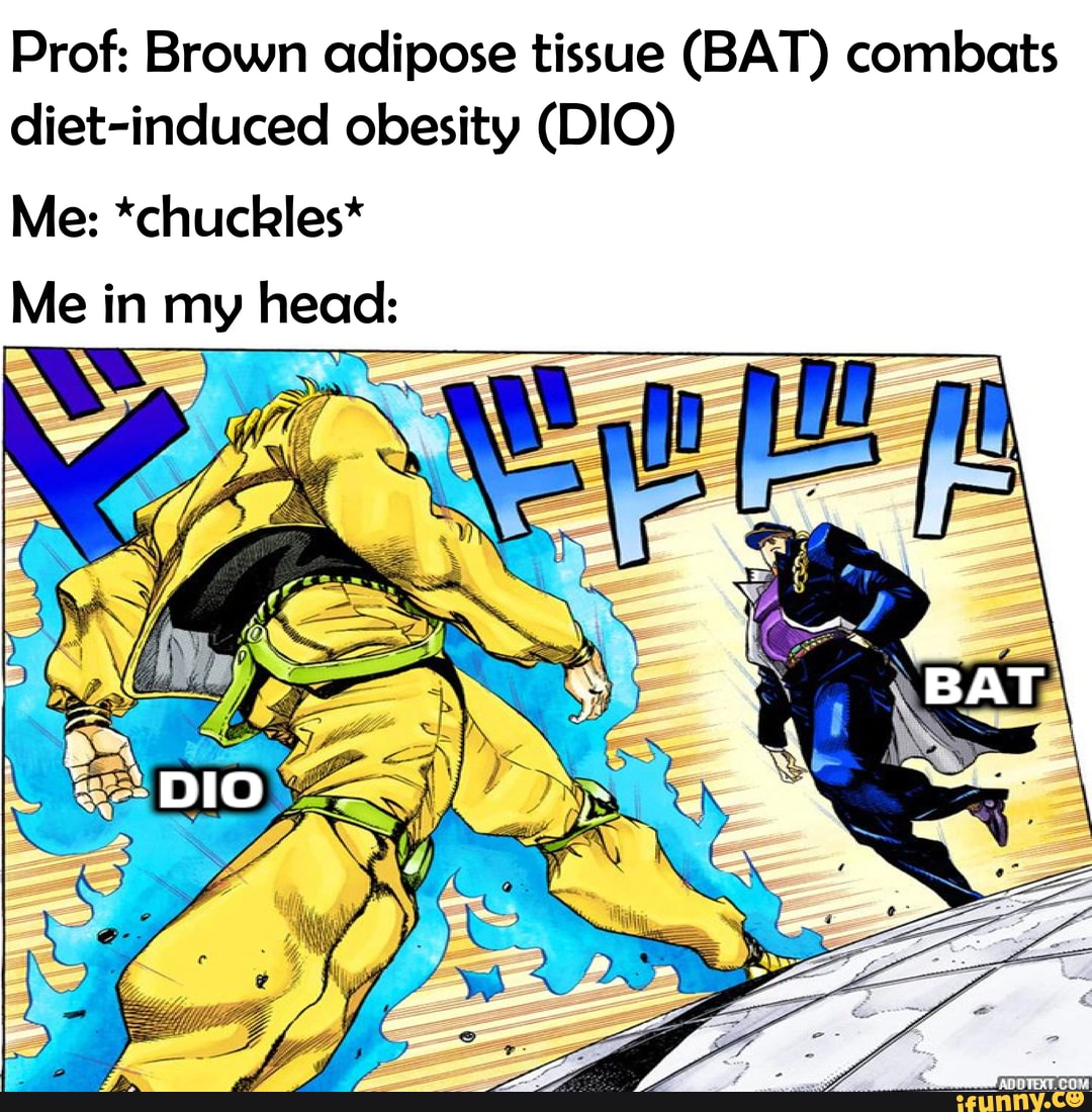 A metabolism JoJo meme! - Prof: Brown adipose tissue (BAT) combats diet ...